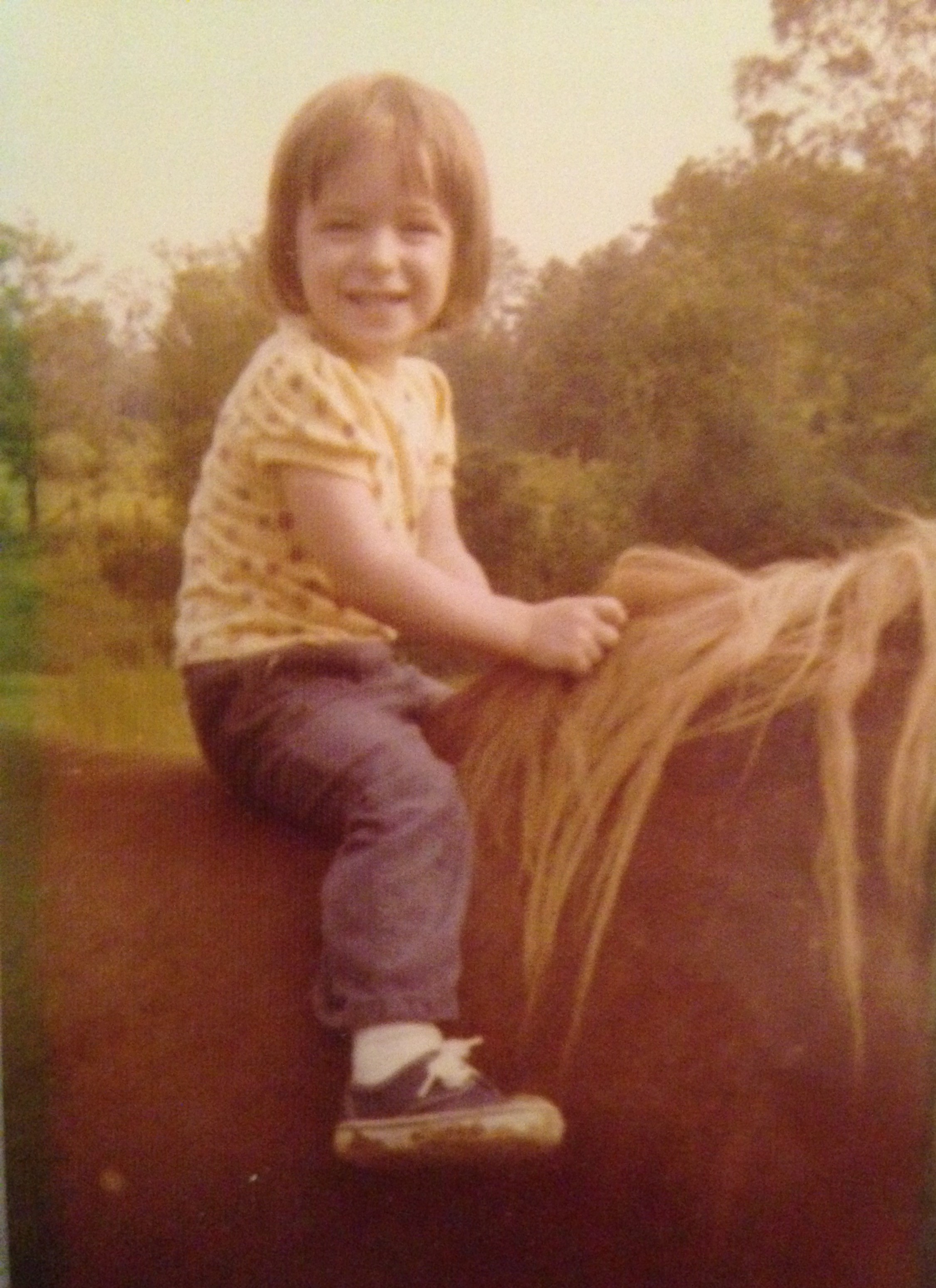 About Me | Elizabeth Springer, Author